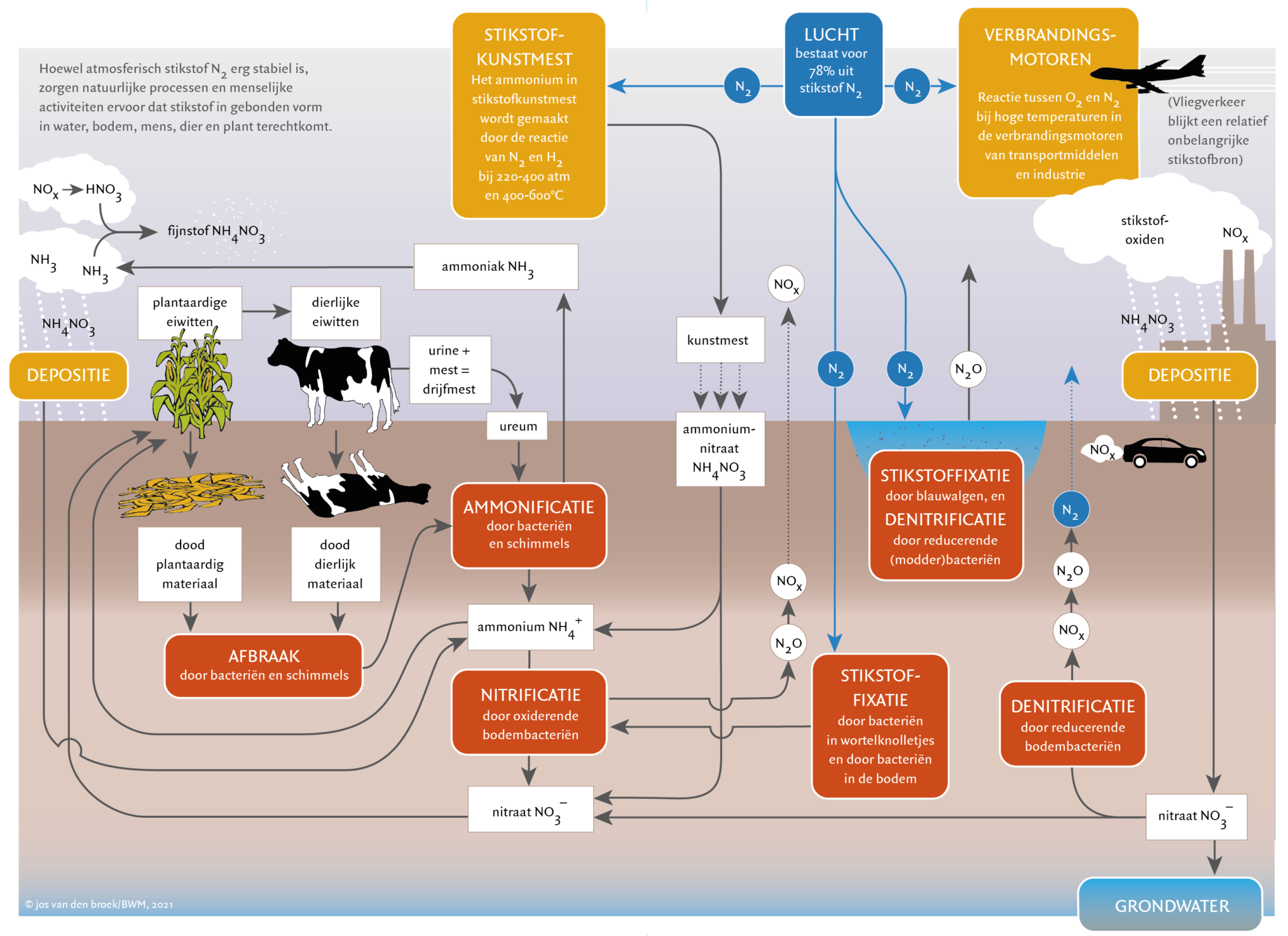 Stikken in de stikstof - Biowetenschappen & Maatschappij