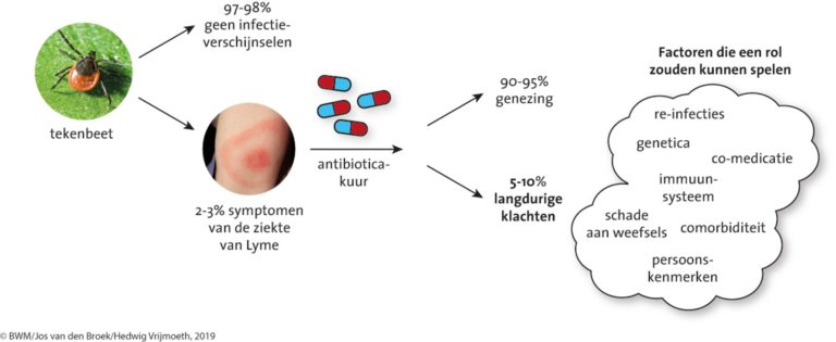 Als klachten bij ziekte van Lyme langer duren: over oorzaken en ...