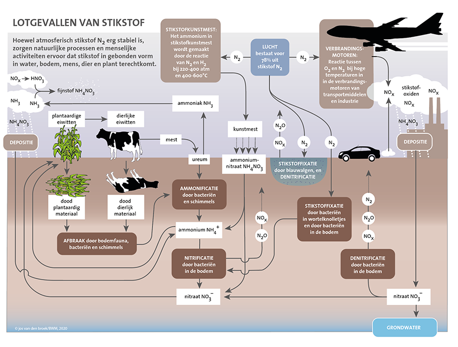 ‘Stikken in de stikstof’ - Biowetenschappen & Maatschappij