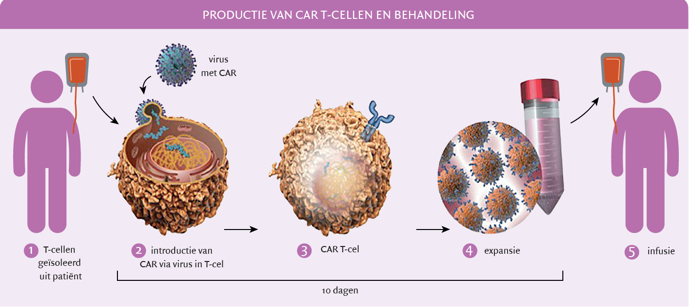 Immuuntherapie - Biowetenschappen & Maatschappij